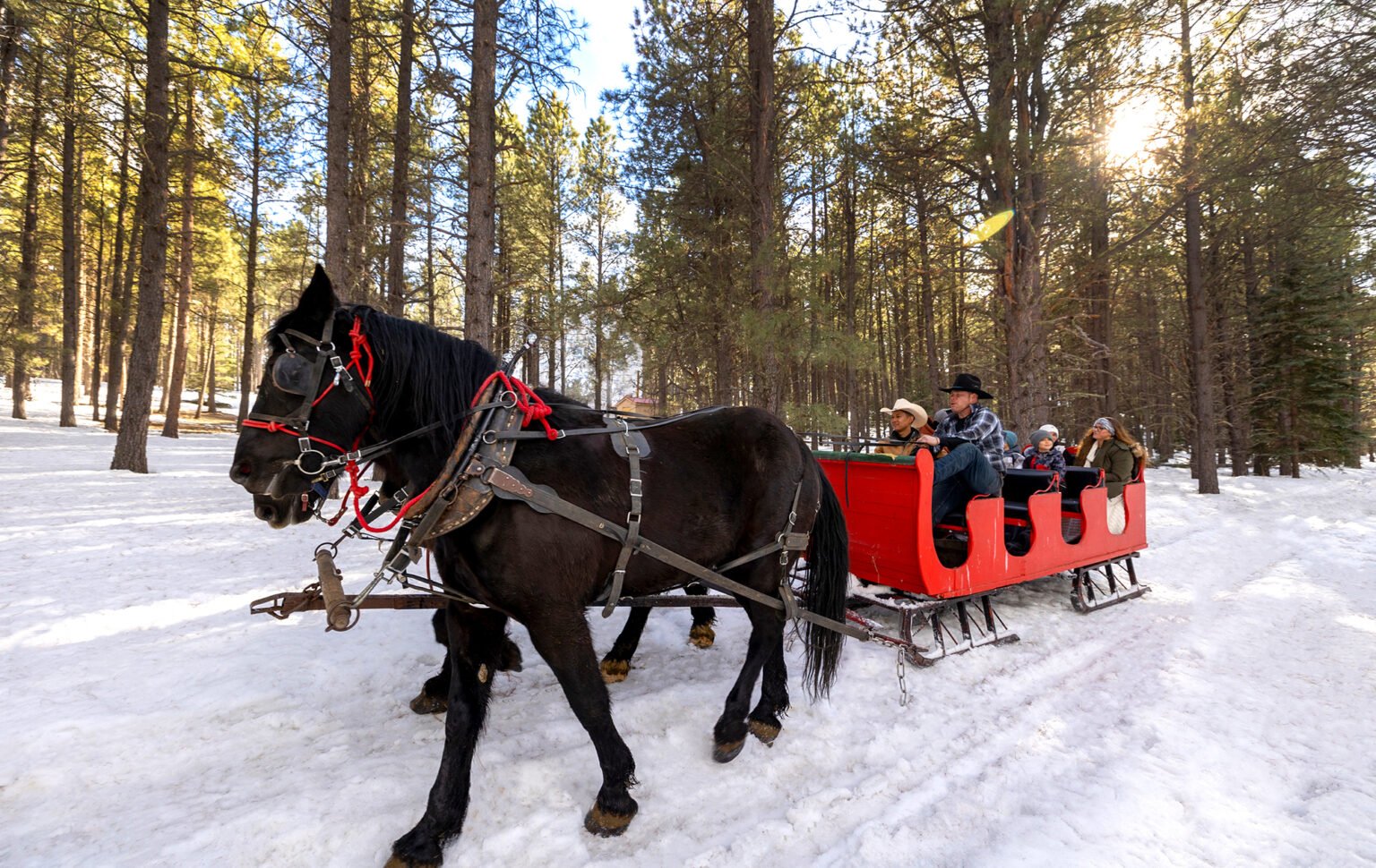 Home - Visit Angel Fire New Mexico