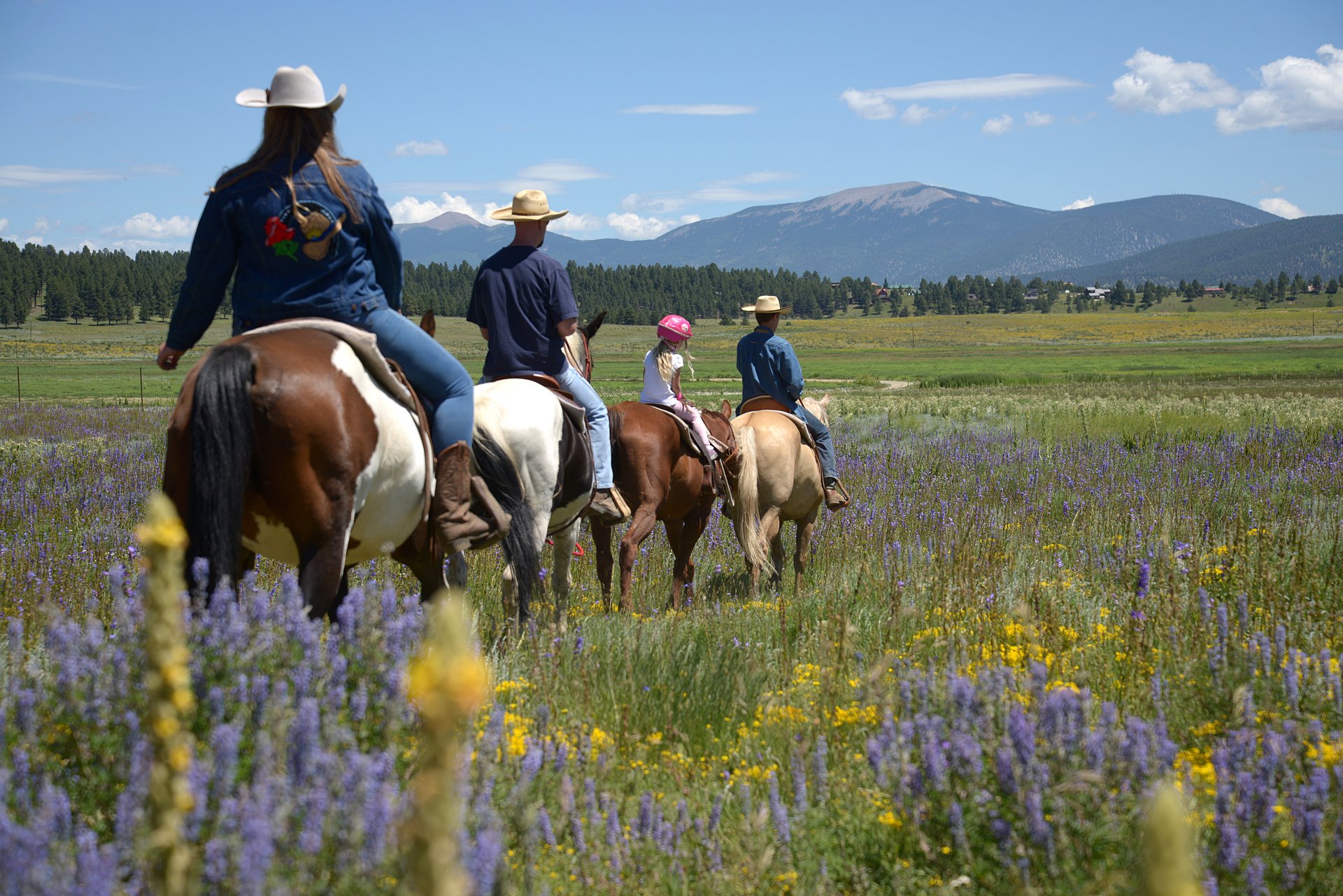 Roadrunner Tours - Visit Angel Fire New Mexico