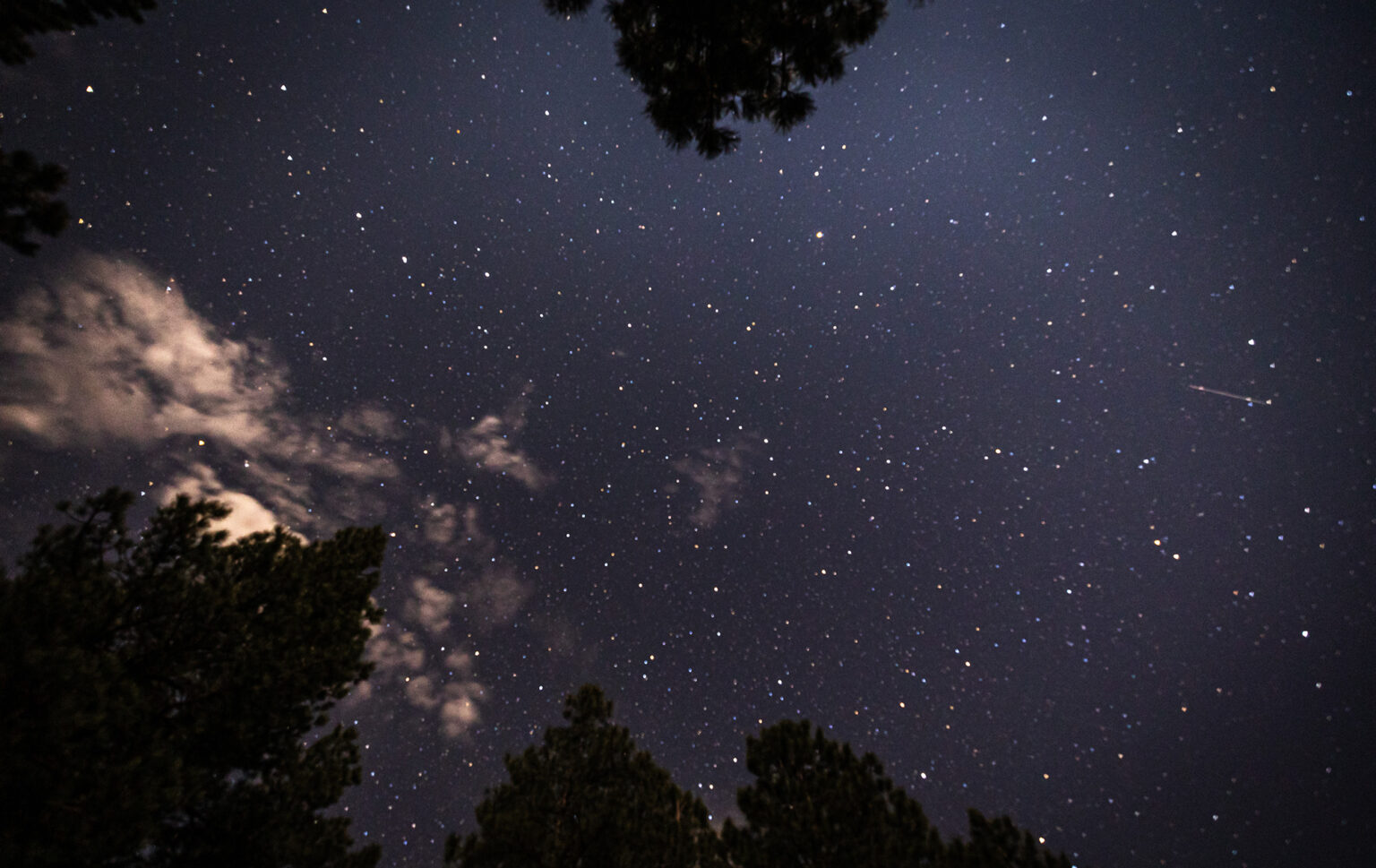 Plan Your Visit - Visit Angel Fire New Mexico